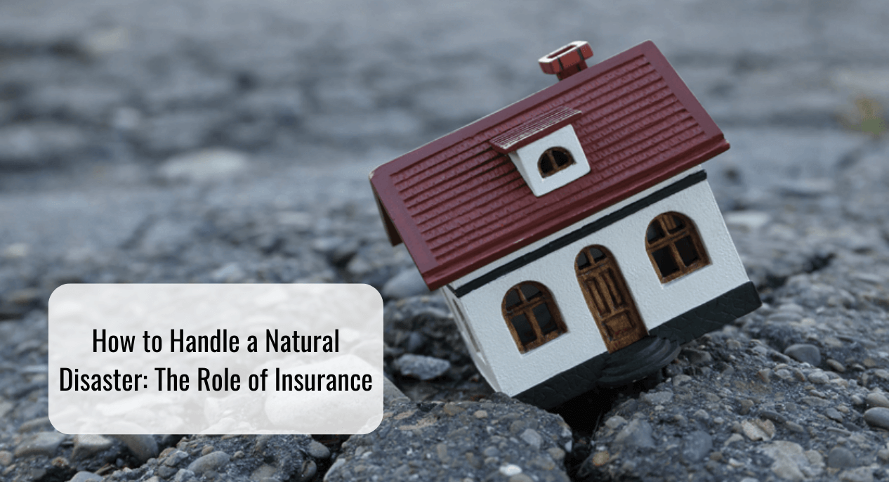 How to Handle a Natural Disaster: The Role of Insurance - Siler ...